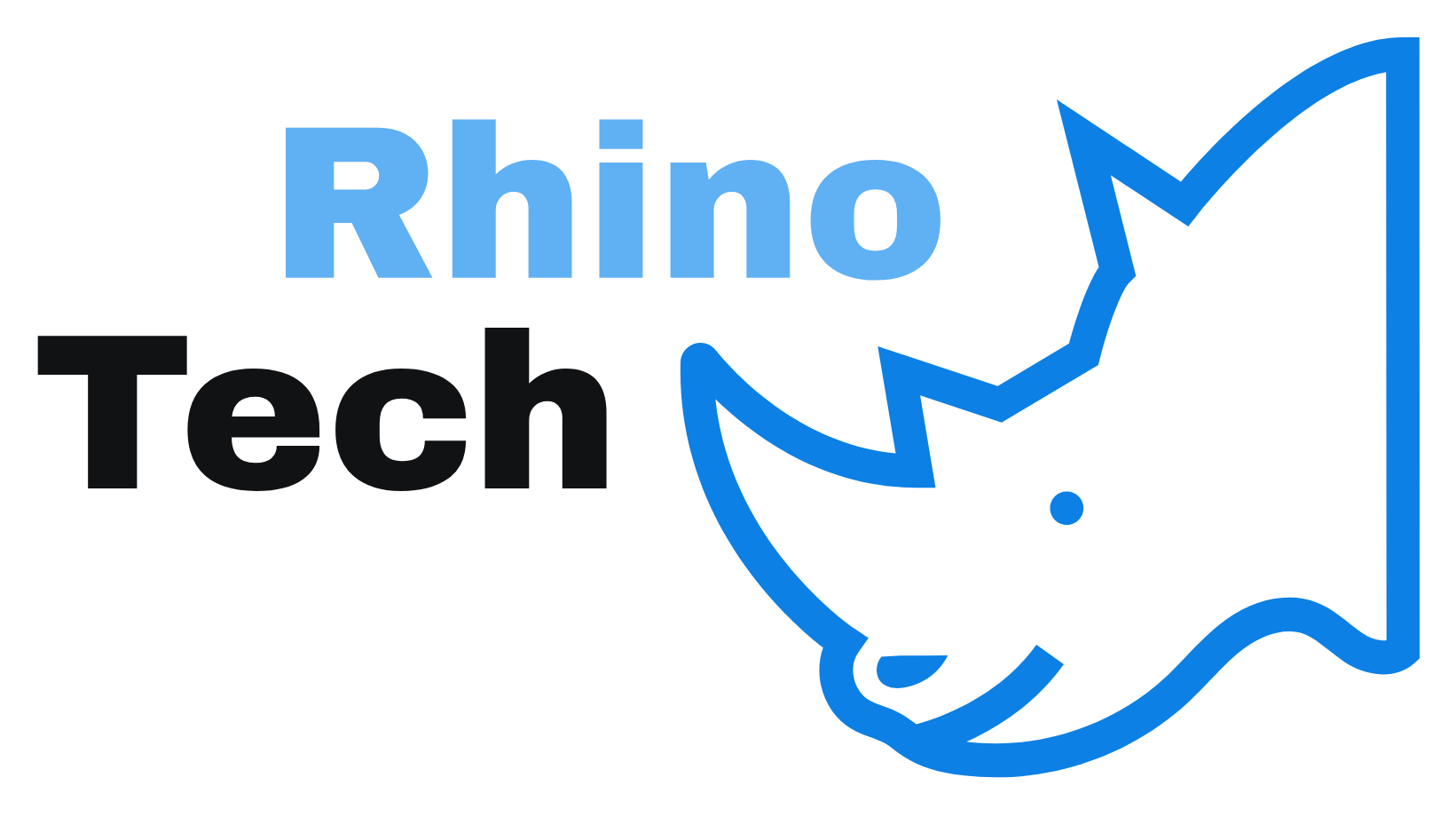 Blue Rhine Logo Blue Rhino Capital